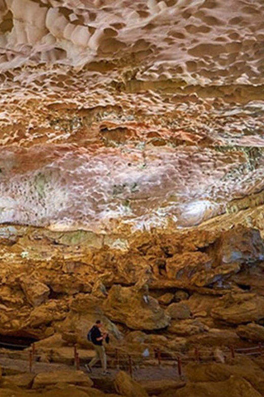 Ha Long 1 Day Luxury Small Group & Kayaking - What’s Included & What’s Not