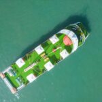 Ha Long 5 Star Cruise With 6-Hour Kayaking/Cave/Titop/Buffet - A Deep Dive into the Experience