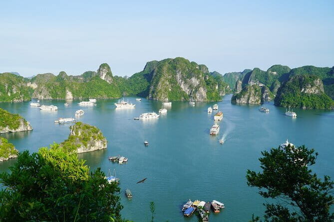 Ha Long Bay 1 Day Joined Luxury Tour - The Experience Itself