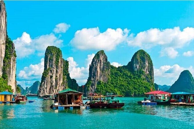 Ha Long Bay Cruise Day Tour - Cave, Kayaking, Swimming & Lunch - The Value and Experience: What Travelers Say