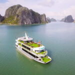 Ha Long Bay Day Tour: Buffet & Jacuzzi by Wonder of the Sea - A Complete Breakdown of the Itinerary