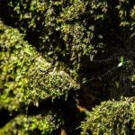 Ha Noi: Full-day Cuc Phuong National Park Eco-adventure - The Value of This Tour