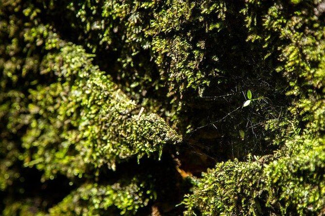 Ha Noi: Full-day Cuc Phuong National Park Eco-adventure - The Value of This Tour