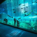 Ha Noi: VinKE and Vinpearl Aquarium Entry Ticket - Exploring VinKE: Career Exploration for Kids