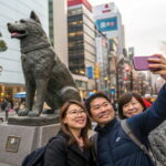 Hachik, Hachi, Tale of a Faithful Dog, Mystery Tour - What’s Included and What’s Not