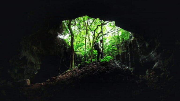 Haikou: China Leiqiong Global Geopark Entry Ticket - Who Is This Experience Best For?