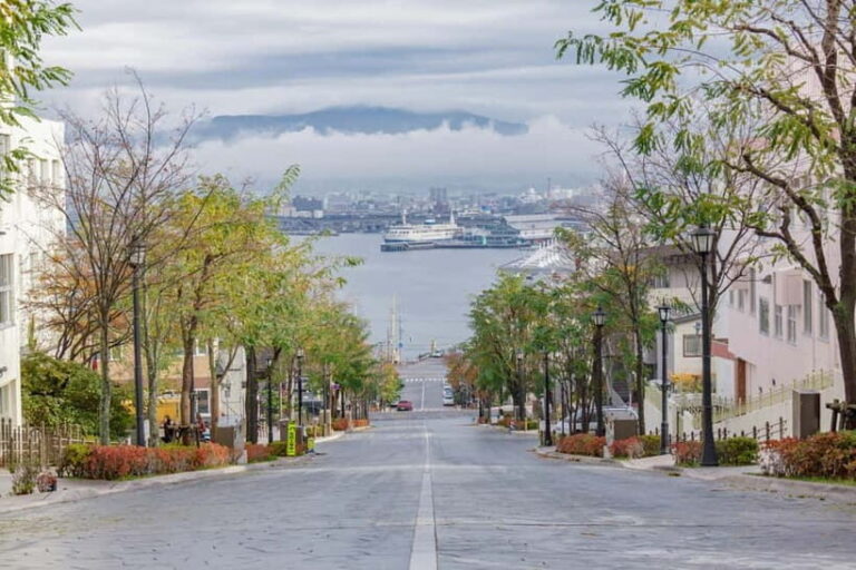 Hakodate: Half-day Heritage Trail Tour  4 Hours - Deep Dive into the Itinerary