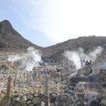 Hakone 6 hour Private Tour with Government-Licensed Guide - Navigating the Itinerary: What You Can Expect