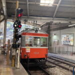 Hakone Adventure: Explore Natures Beauty and Tranquility - Final Thoughts: Is It Worth It?