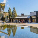 Hakone Adventure Tour (With English or Japanese Speaking Guide) - Final Thoughts