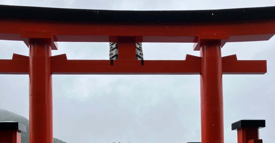 Hakone: Day Tour to View Mt Fuji & Wooden Culture Experience - What You’ll Love About This Tour