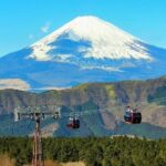 Hakone Full-Day Private Tour By Public Transportation - Practical Considerations