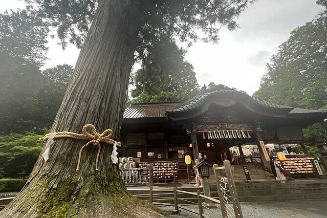 Hakone Mt. Fuji Tour by Car with Pickup and Drop off from Tokyo - Who Will Love This Tour?