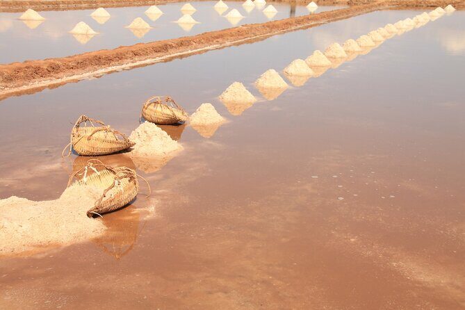 Half-Day Adventure to the Pepper Farm by Scooter - What Makes This Tour Stand Out?