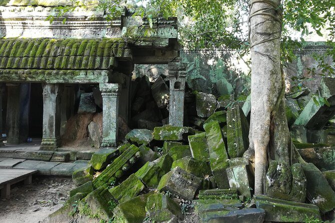 Half Day Angkor Wat Sunrise Private Tour - The Itinerary in Detail