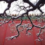 Half Day Beijing Group Tour to Tiananmen Square and Forbidden City - A Closer Look at the Itinerary