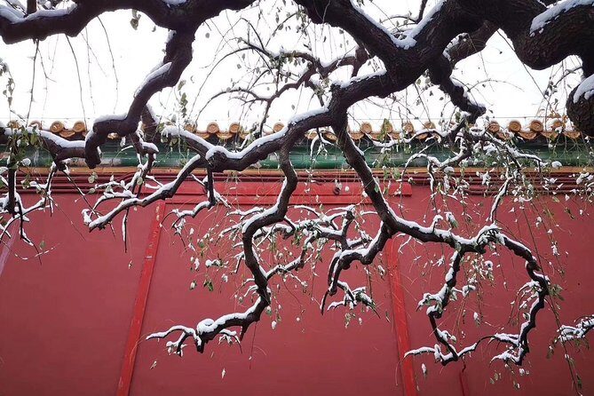 Half Day Beijing Group Tour to Tiananmen Square and Forbidden City - A Closer Look at the Itinerary