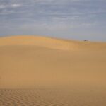 Half Day Camel Safari Sunset with Dinner Tour (Non Touristic) - Key Points