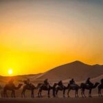 Half Day City Tour of Jaisalmer visit Sunset by Camel Ride with Dinner - The Real Value for Travelers
