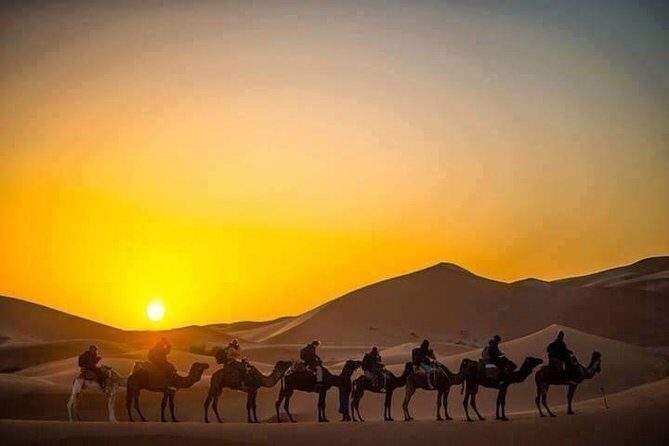 Half Day City Tour of Jaisalmer visit Sunset by Camel Ride with Dinner - The Real Value for Travelers