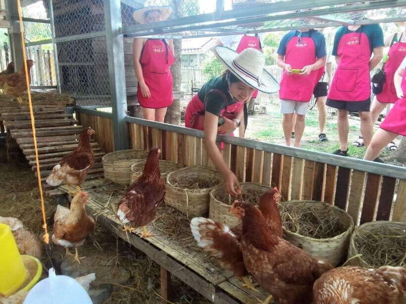 Half Day Cooking Class at Organic Farm & City Garden&Market - Authenticity and Flexibility