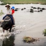 Half Day Cooking Class At Tra Que Vegetable Village Hoi An - What Reviewers Say
