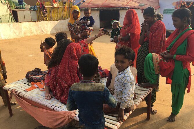 Half-Day Cultural Village Jeep Safari in Jaipur - Transportation and Guide Quality