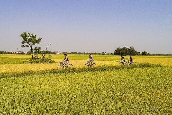 Half Day Cycling in the Hoi An Countryside - Cycling through the Countryside