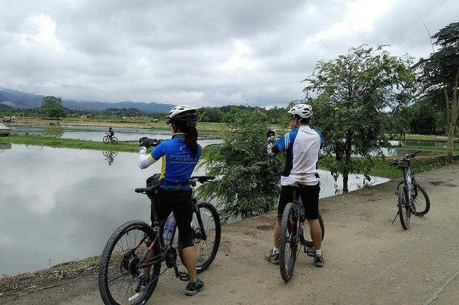 Half Day Cycling Tour to the White temple - Detailed Breakdown of the Itinerary