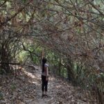 Half Day Doi Suthep Temple and short trekking on monk trail (Private Tour) - Visiting Doi Suthep Temple: The Heart of the Tour