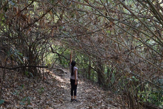 Half Day Doi Suthep Temple and short trekking on monk trail (Private Tour) - Visiting Doi Suthep Temple: The Heart of the Tour