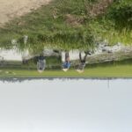 Half Day Exploring Hoi An Countryside in a Vespa - Transport and Practicalities