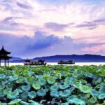 Half-Day Flexible Private Hangzhou Highlight Tour - Transportation and Practicalities