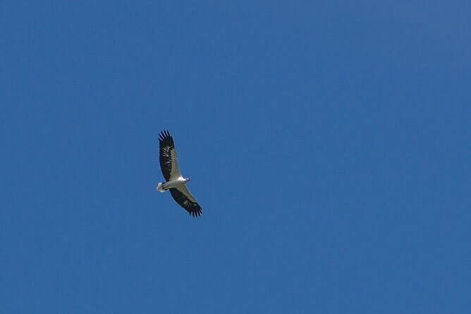 Half-Day Geopark Cruise from Langkawi - Key Points Before You Book