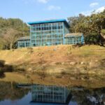 Half day Godawari to Pulchowki nature hike - Authentic Experiences and Practical Details