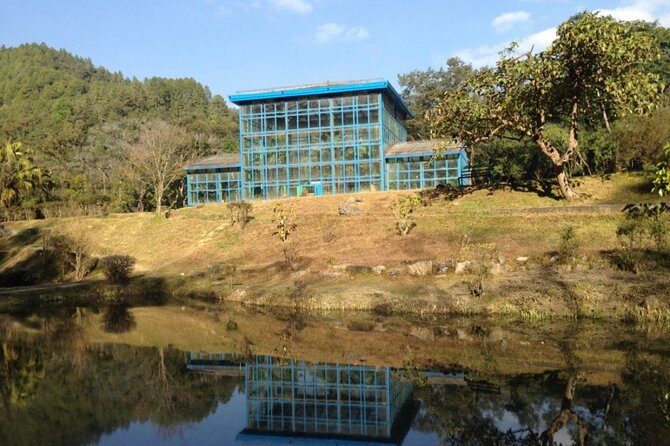 Half day Godawari to Pulchowki nature hike - Authentic Experiences and Practical Details