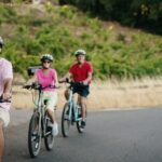 Half Day Guided Electric Bike Wine Tasting Tour with Lunch - In-Depth Breakdown of the Itinerary