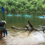 Half-Day Guided Kayaking in the Smoky Mountains of Tallassee - Practical Information and Tips