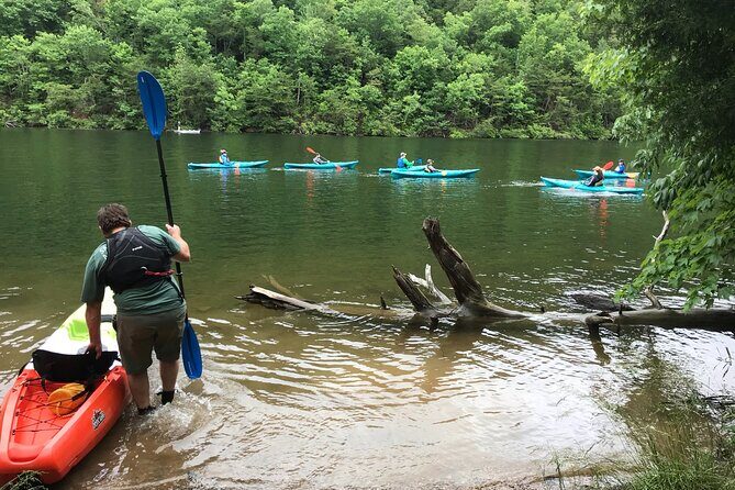 Half-Day Guided Kayaking in the Smoky Mountains of Tallassee - Practical Information and Tips