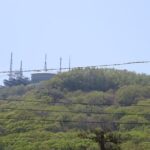 Half Day Hakodate Tour with Government Licensed English guide - A Deep Dive into the Itinerary