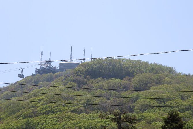 Half Day Hakodate Tour with Government Licensed English guide - A Deep Dive into the Itinerary