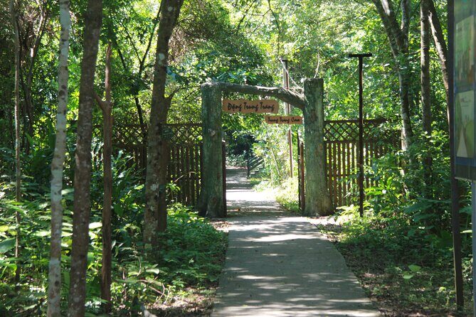 Half Day Hiking to Discover Cat Ba National Park with a Guide - What to Expect: The Day in Detail