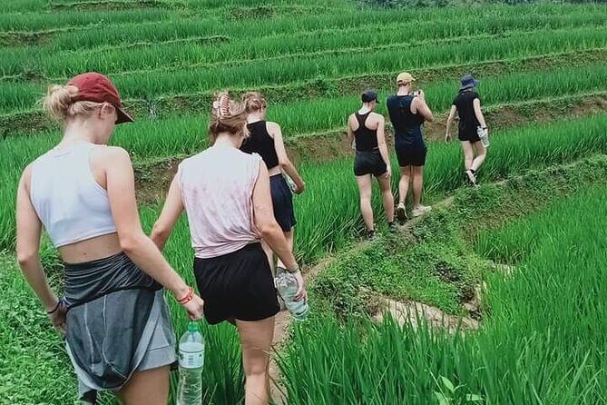 Half-Day Hometrek from Sapa with Hmong Sister House - Final Thoughts