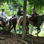 Half Day Horse Riding in Dambulla - Who Is This Tour Best For?