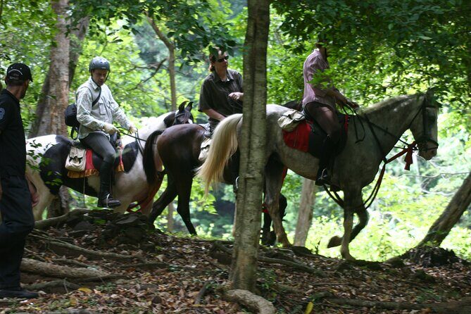 Half Day Horse Riding in Dambulla - Who Is This Tour Best For?
