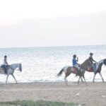 Half-Day Horse Riding in Kalpitiya - Pricing and Value Analysis