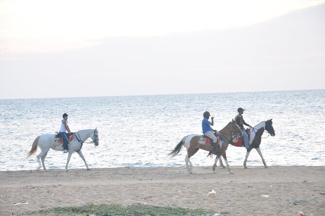 Half-Day Horse Riding in Kalpitiya - Pricing and Value Analysis