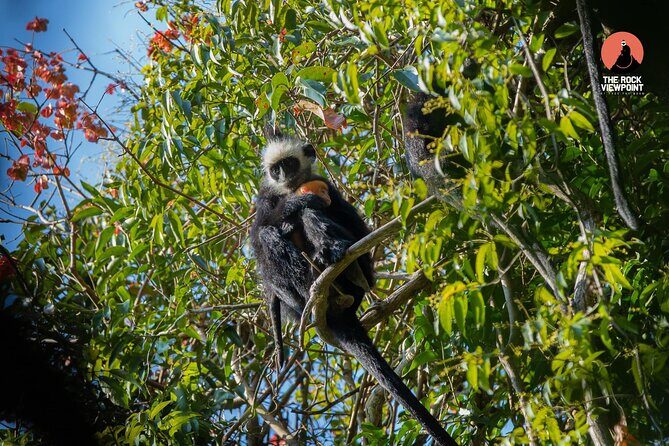 Half Day in The Rock Viewpoint Laos - Final Thoughts