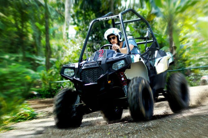 Half Day Jungle Buggies in Bali with Guide - Who Should Consider This Tour?