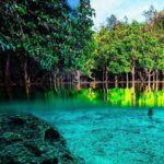Half Day Jungle Tour to Emerald pool and Krabi Hot Spring - Transportation & Group Size